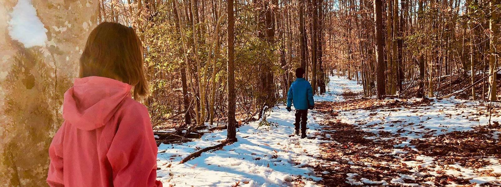 Nature Trails | Single Family Homes | Townhomes | Luxury Homes ...